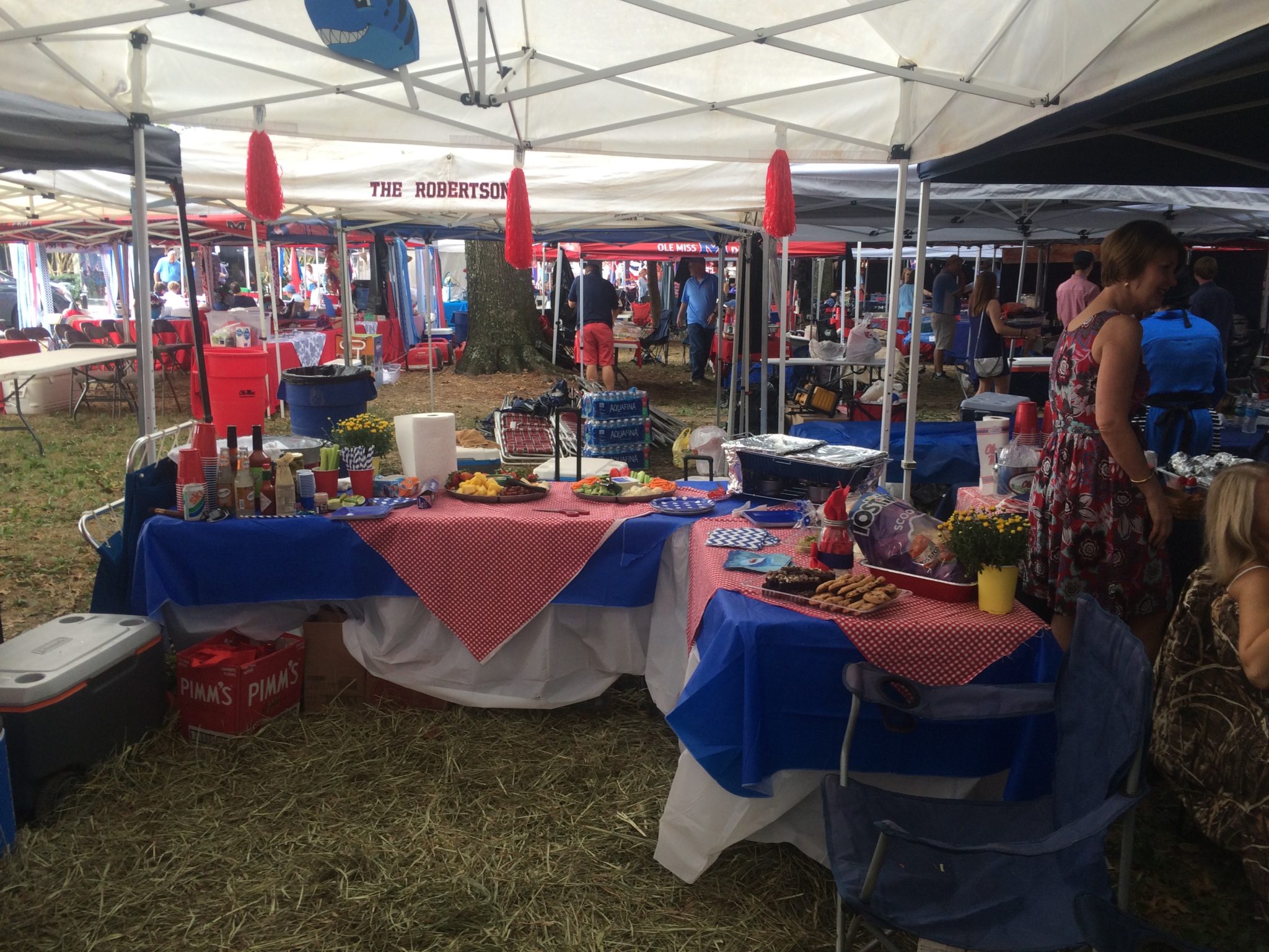 Insiders Guide to Tailgating in The Grove- Ole Miss - Müd
